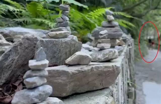 憑空消失｜砂卡礑已尋獲6具大體均為本國人，新加澳雙重國籍夫妻Sim Hwee Kok、Neo Siew Choo依然下落不明！ – 東台灣新聞網