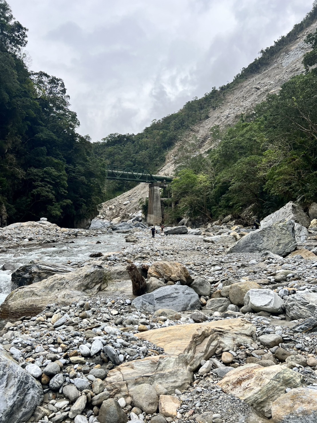 憑空消失｜0403大地震遍尋不著的新加澳雙重國籍夫妻Sim Hwee Kok（沈瑞國）、Neo Siew Choo（梁秀珠），五間屋尋獲髖寬骨 ...
